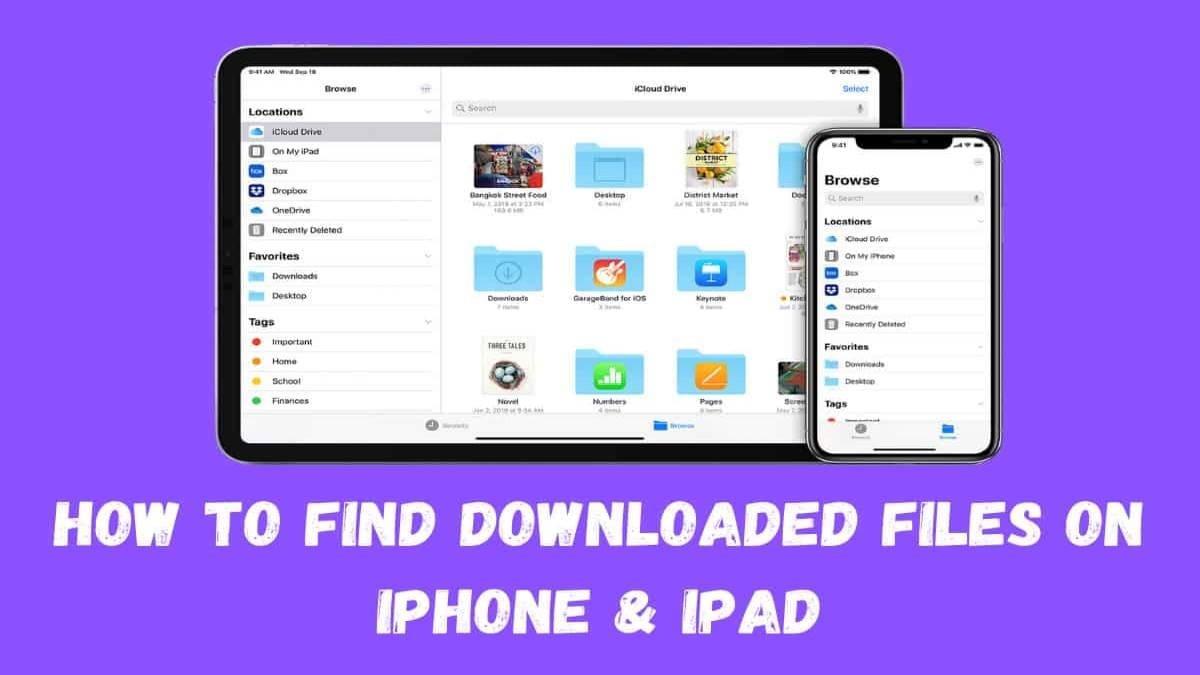 Where I Can Find Downloaded Files On An iPhone Or iPad - MobbiTech
