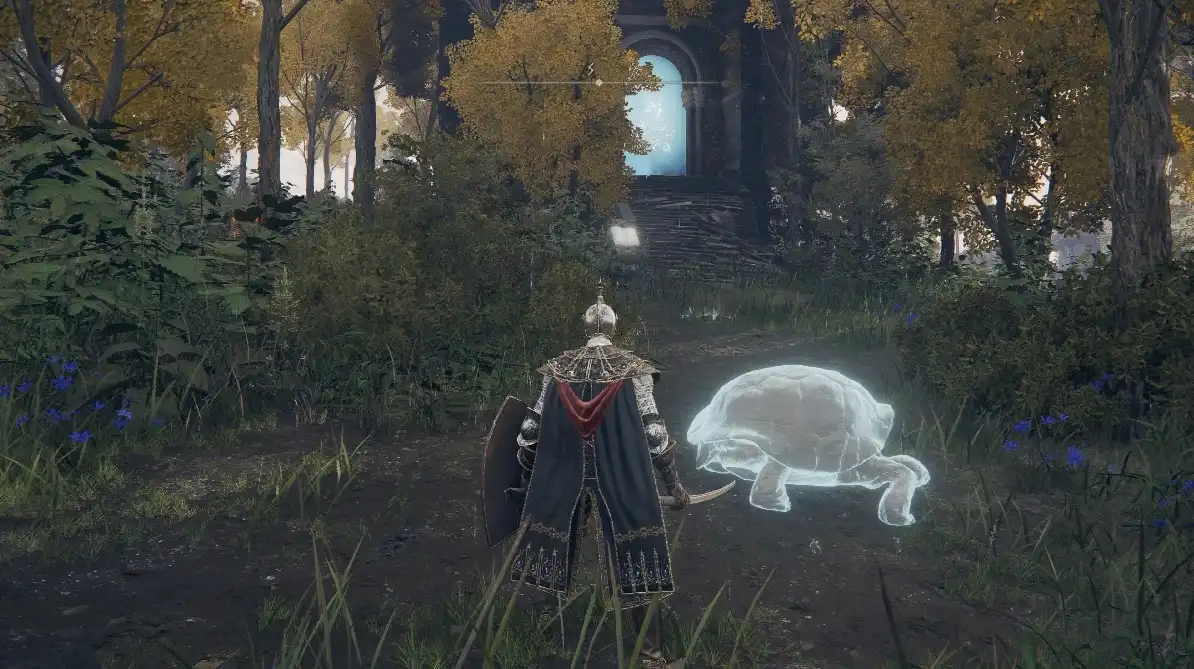 How To Find Elden Ring Chelona’s Rise Turtle Locations? - MobbiTech